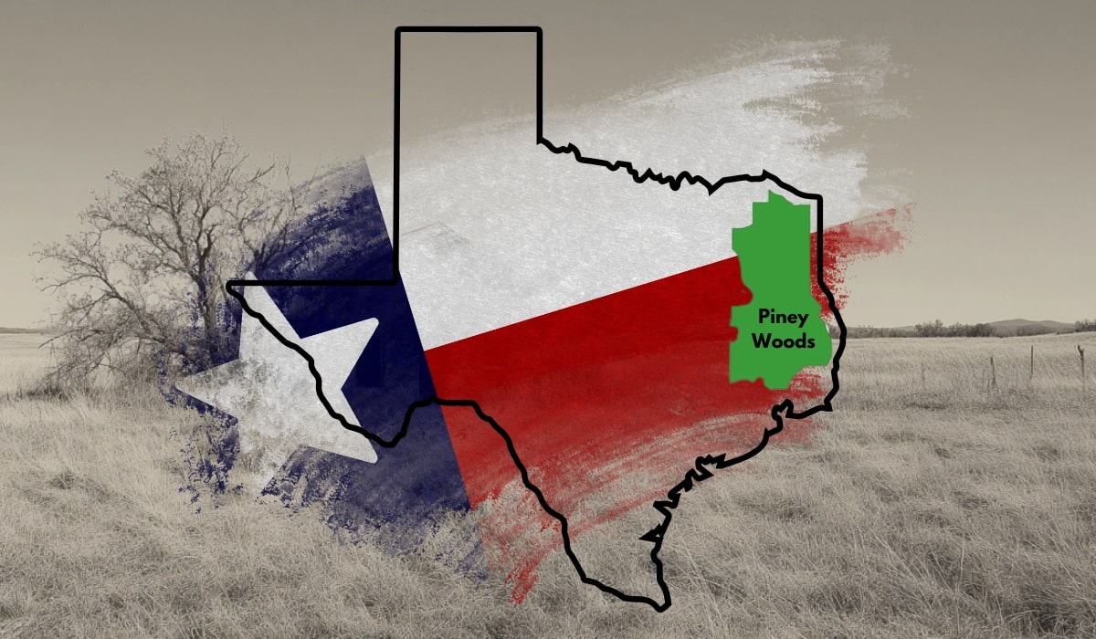 Piney Woods, Texas - Maps, Nature, Geography - Durango Texas
